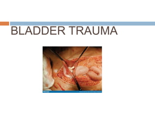 bladder trauma.ppt