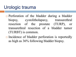 bladder trauma.ppt