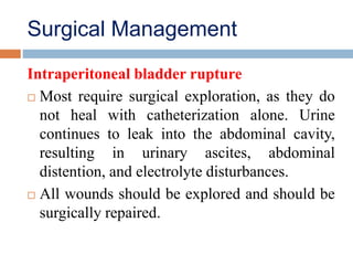 bladder trauma.ppt