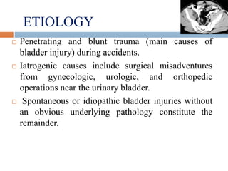 bladder trauma.ppt