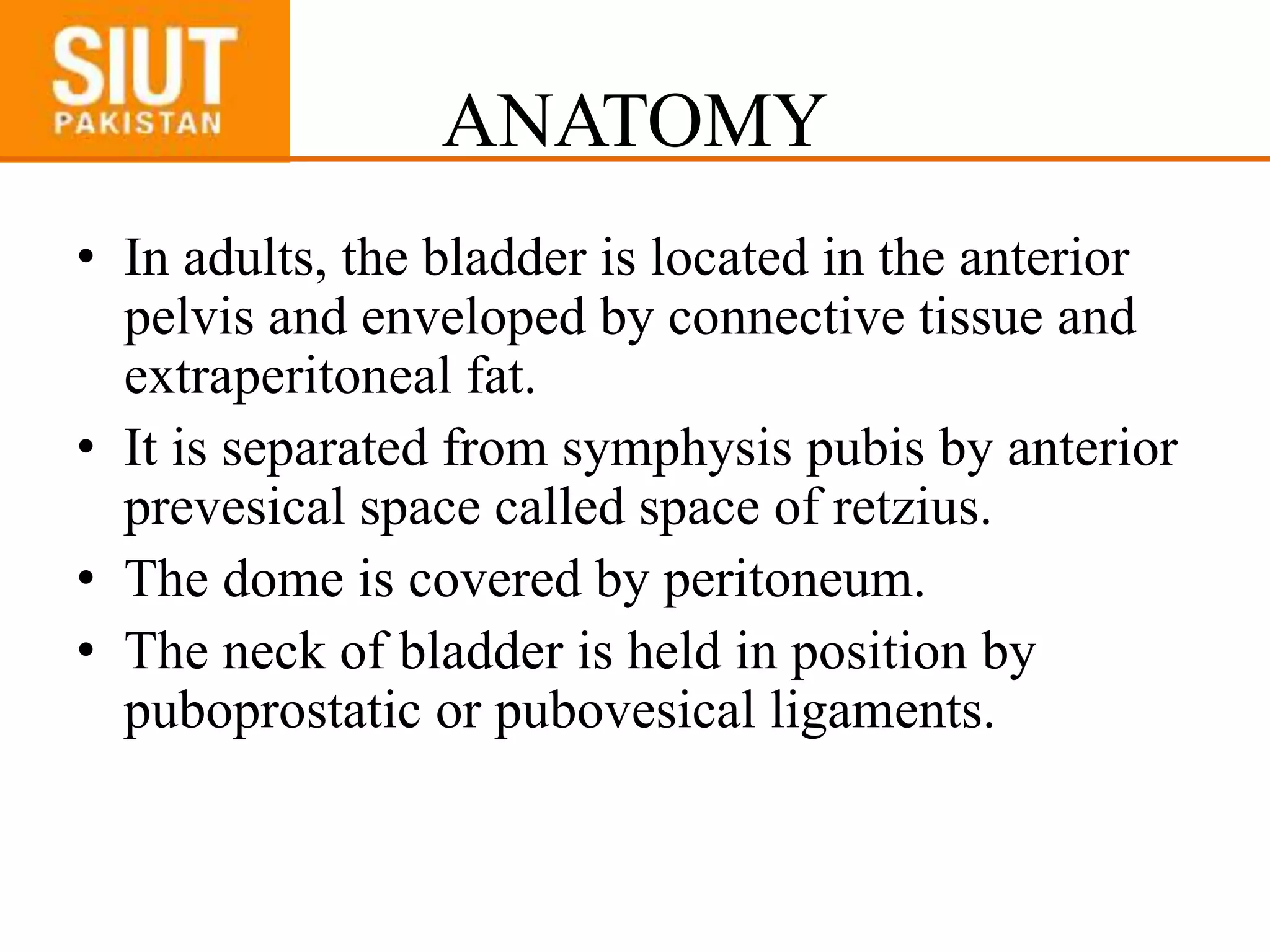 Bladder trauma ff.pptx