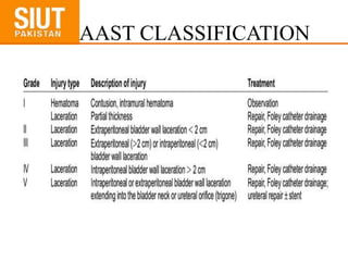 Bladder trauma ff.pptx