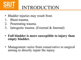 Bladder trauma ff.pptx