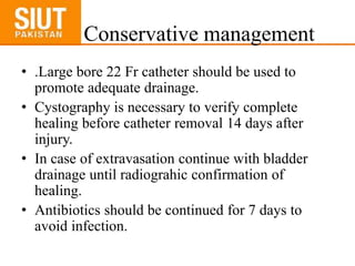 Bladder trauma ff.pptx