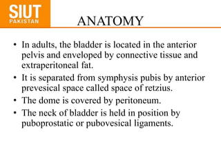 Bladder trauma ff.pptx