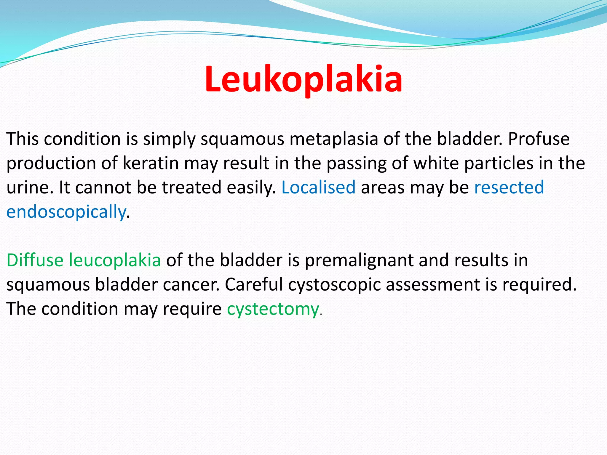 Bladder tumor | PPTX