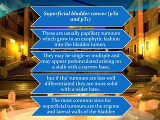 Bladder tumor | PPTX
