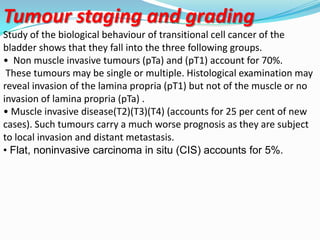 Bladder tumor | PPTX