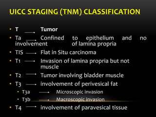 Bladder Tumor.ppt