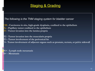 Bladder Tumor 21الجامعه.ppt for healthcare | PPT