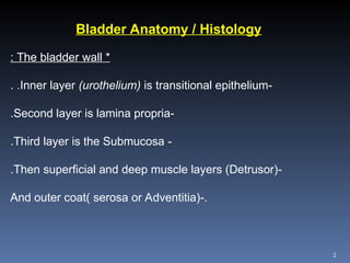 Bladder Tumor 21الجامعه.ppt for healthcare | PPT