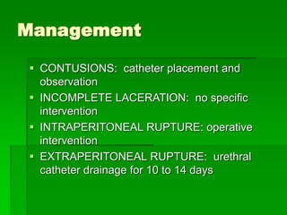 bladtr [EDocFind.com].ppt