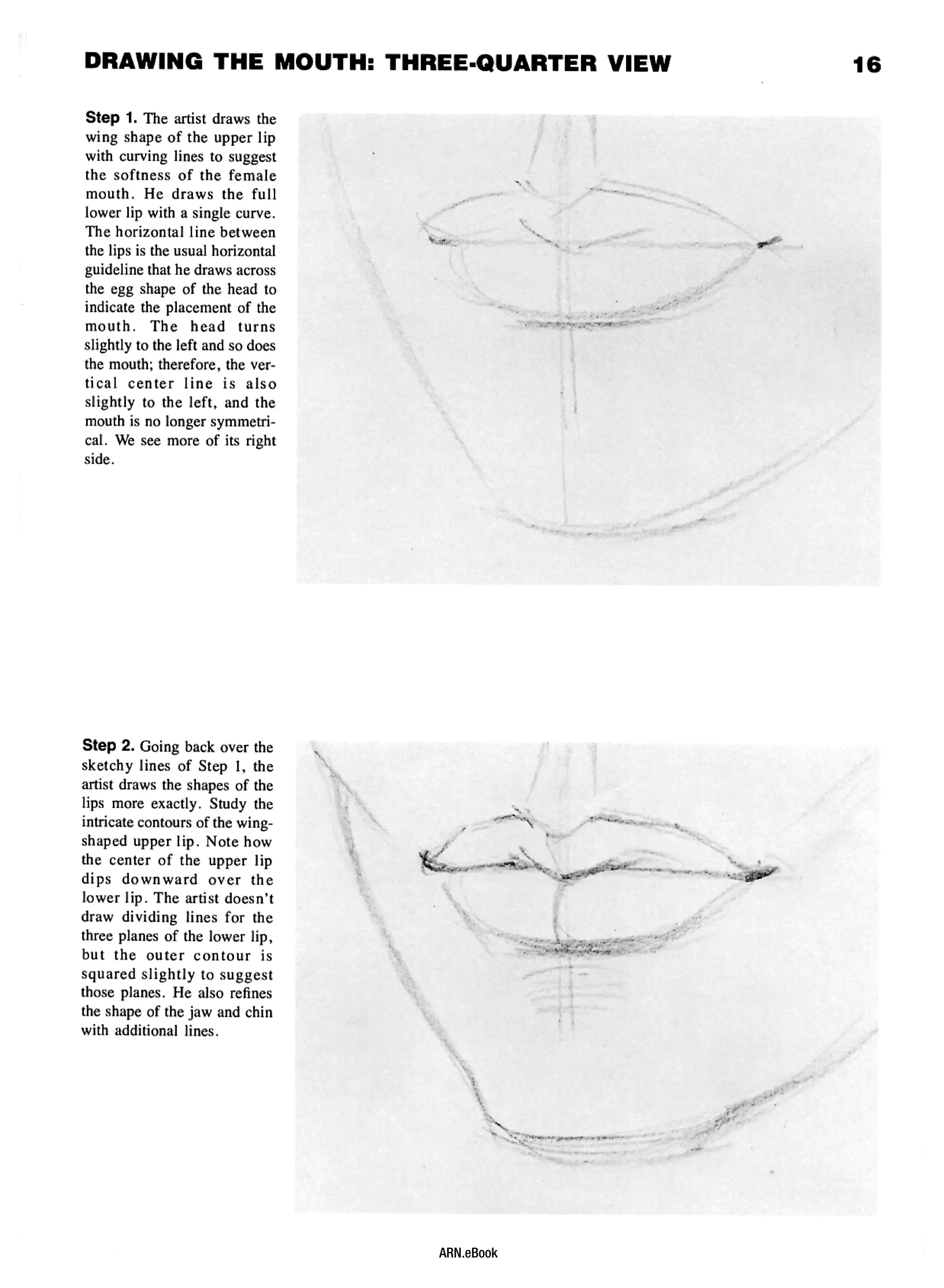 Blake lawn portrait drawing a step-by-step art instruction book | PDF