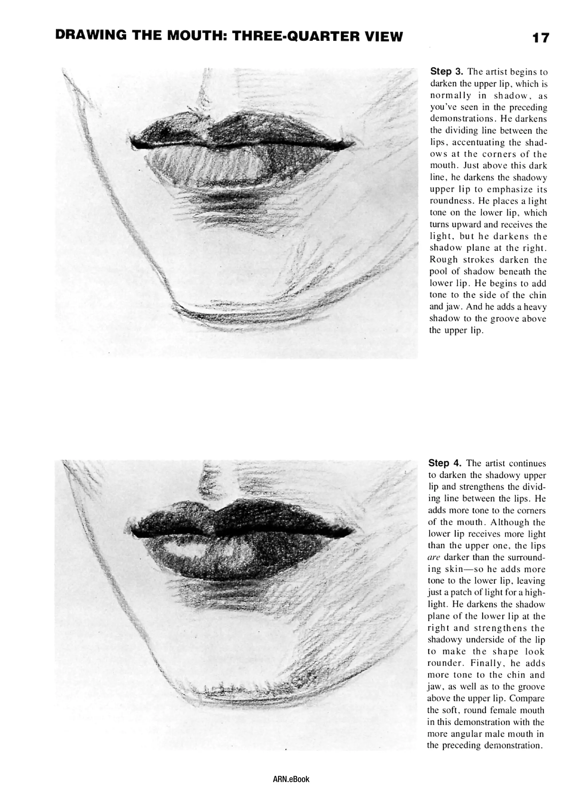 Blake lawn portrait drawing a step-by-step art instruction book | PDF