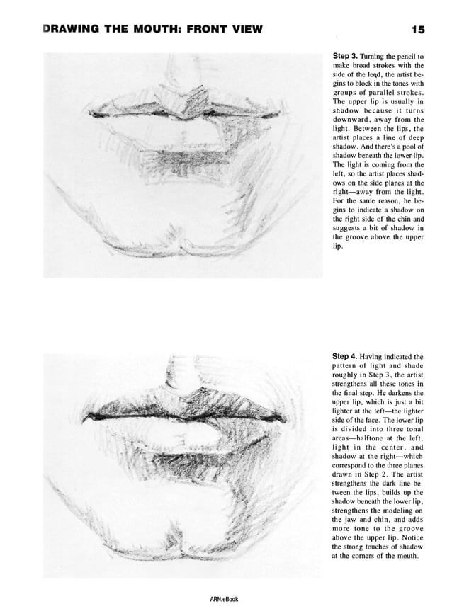 Blake lawn portrait drawing a step-by-step art instruction book | PDF