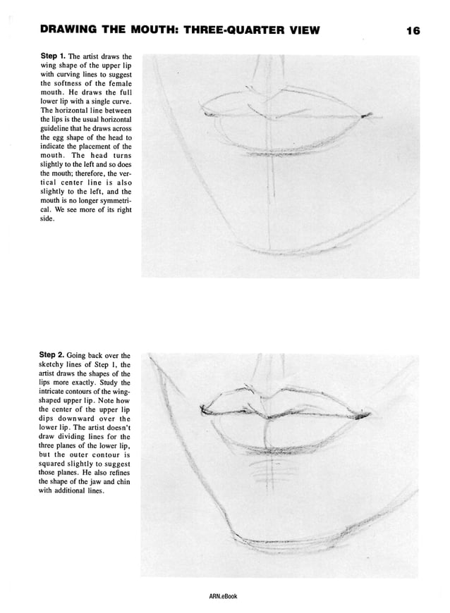 Blake lawn portrait drawing a step-by-step art instruction book | PDF
