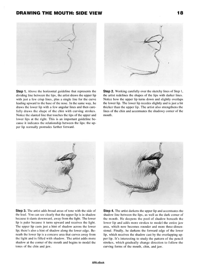 Blake lawn portrait drawing a step-by-step art instruction book | PDF
