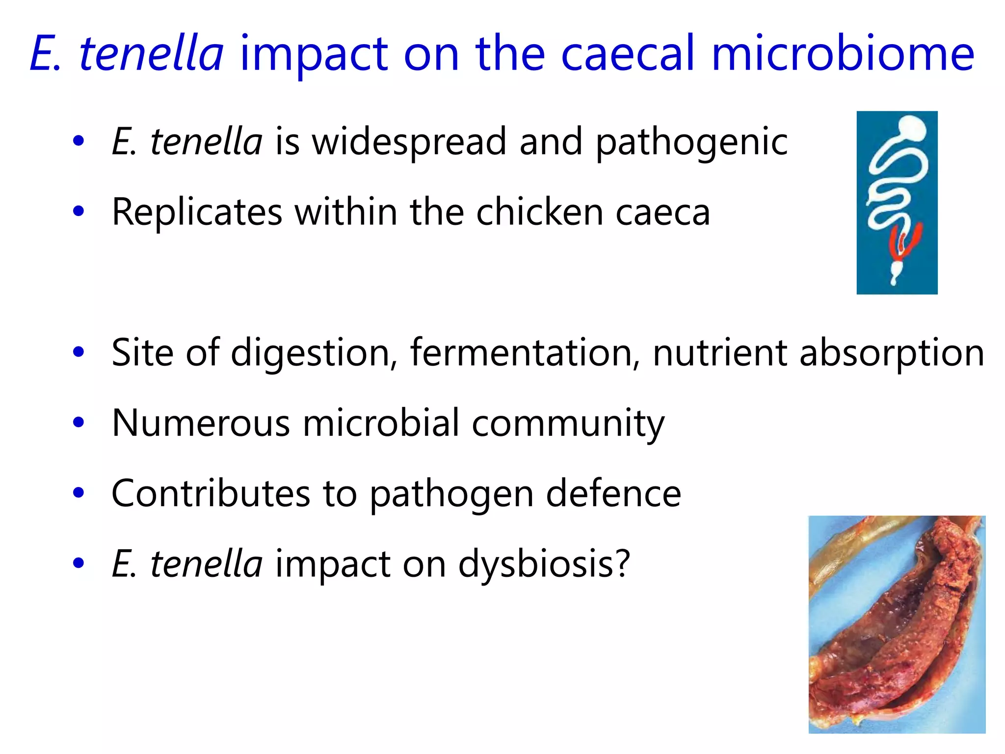 Enteric parasites and microbiomes of poultry: interactions with ...
