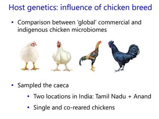 Enteric parasites and microbiomes of poultry: interactions with ...