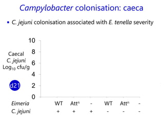 Enteric parasites and microbiomes of poultry: interactions with ...