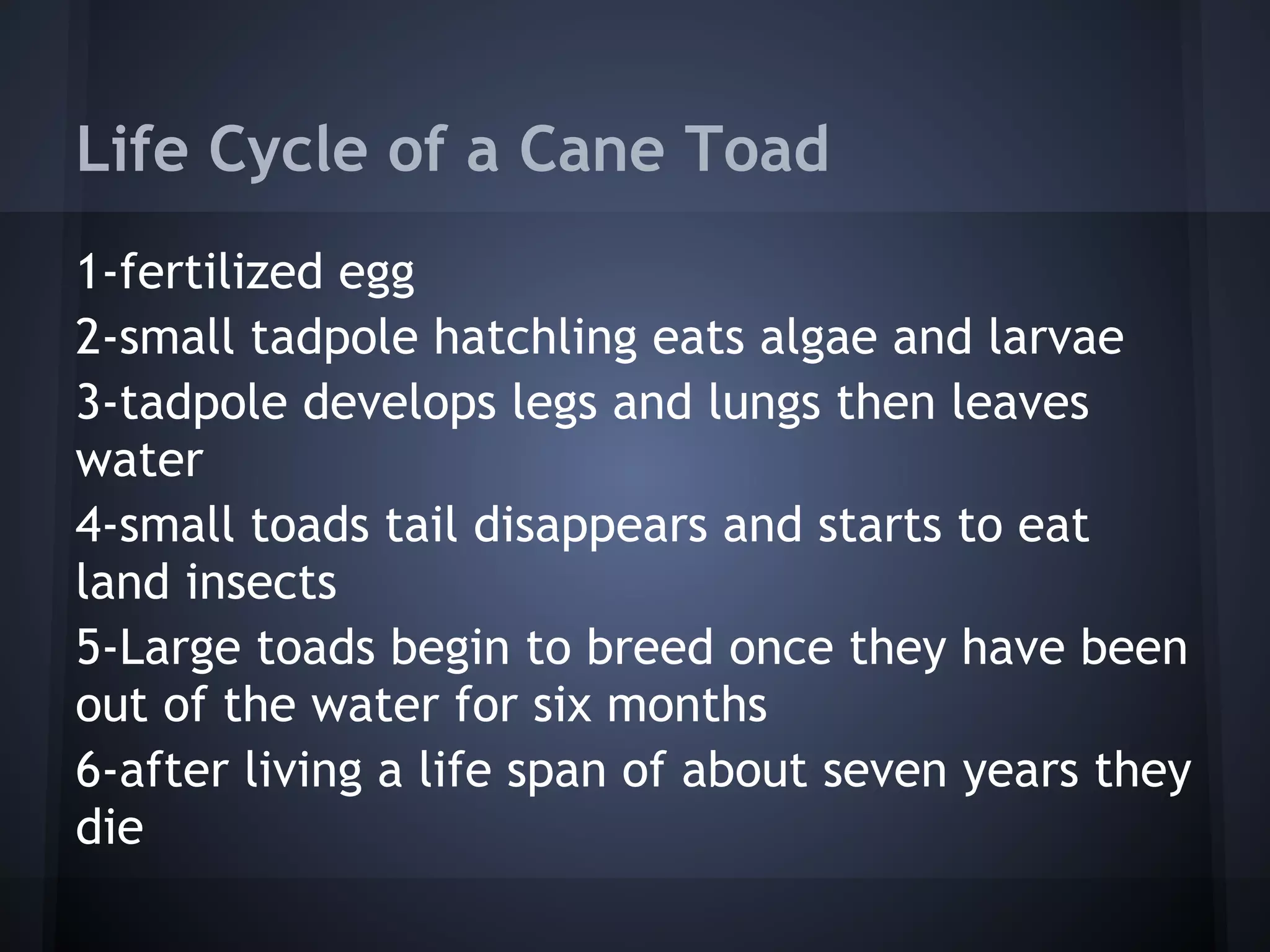 Blake the cane toad | PDF