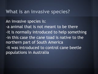 Blake the cane toad | PDF