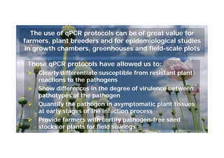 Helping Farmers to Grow Healthier Crops: Use of qPCR to Monitor Plant ...