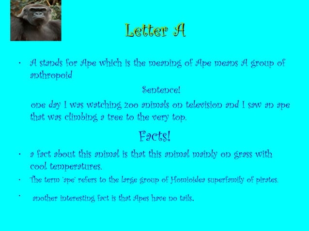animal abc book | PPT