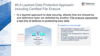 Data Sanitization: What, Why, When and How? | PDF