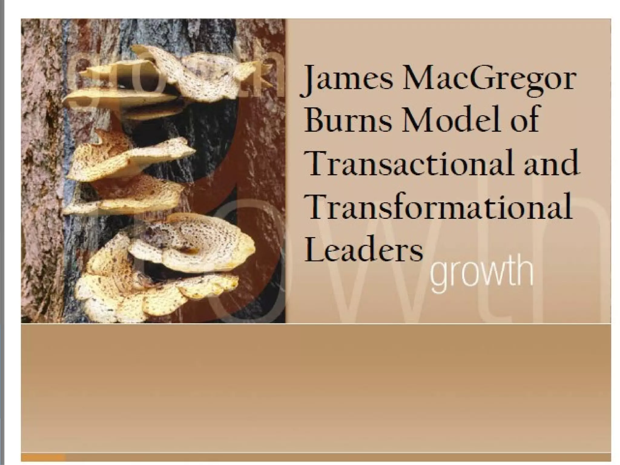 Blanchard life cycle management and transactional vs. transformational ...