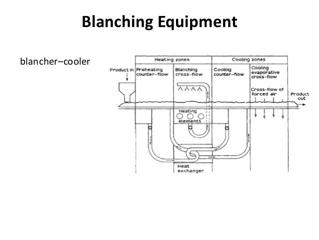 Blanching (Semester 6)