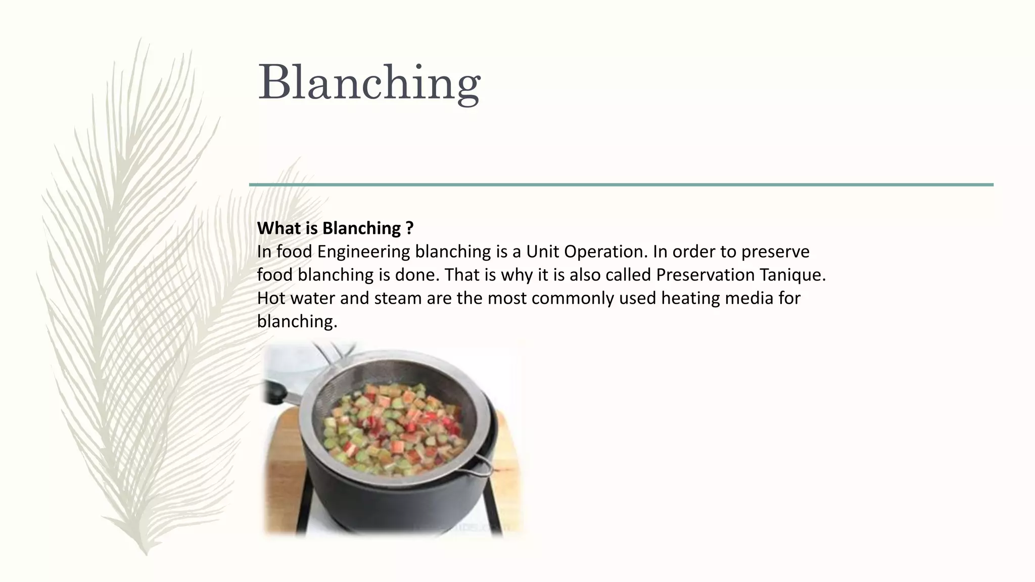 BLANCHING Presentation.pptx