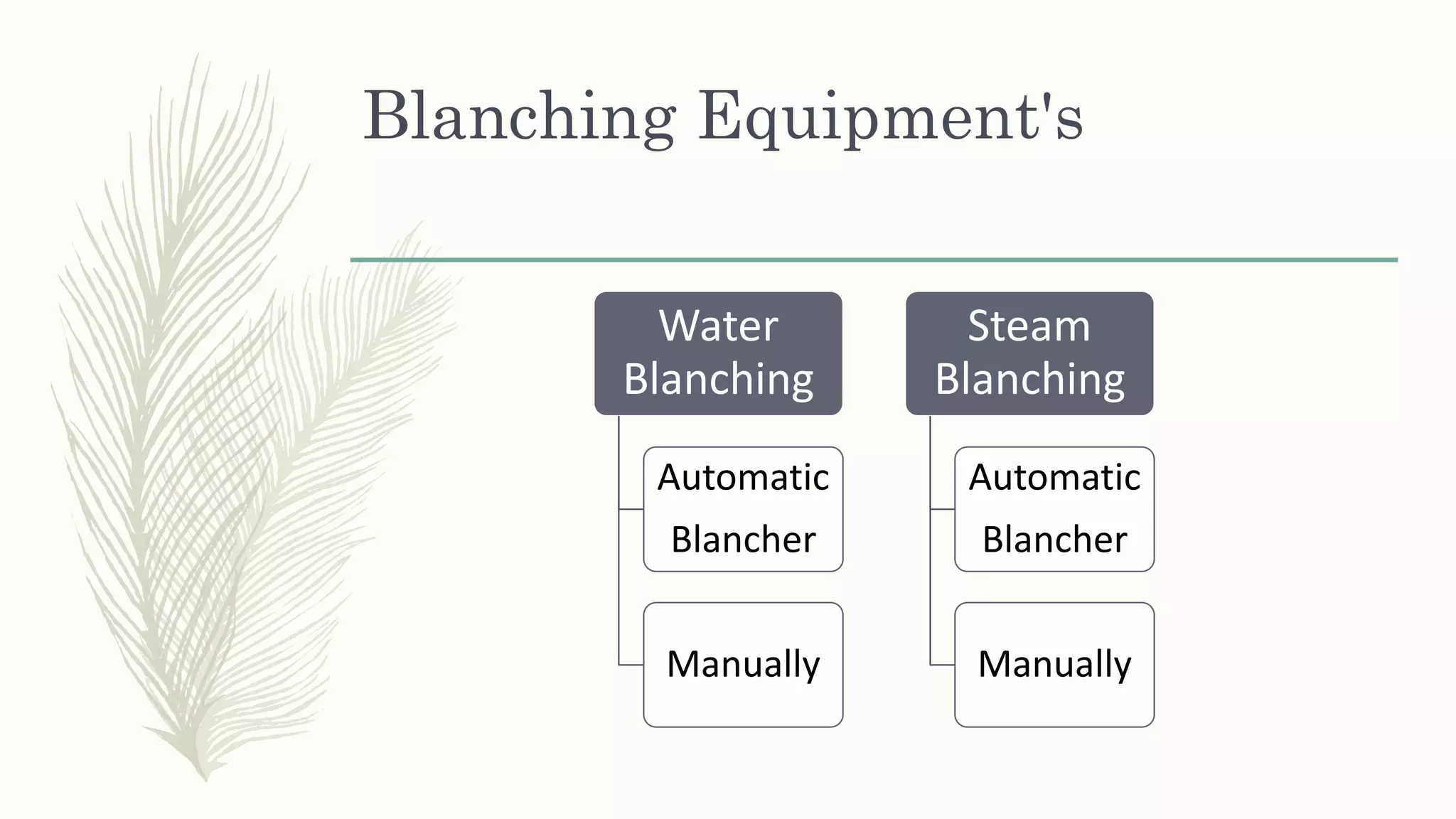 BLANCHING Presentation.pptx