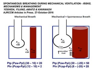 Novel Mechanical Ventilation Strategies | PPT