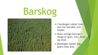 Blandingsskog | PPTX