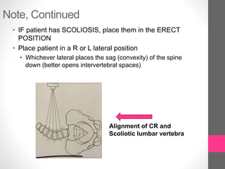Final Image Evaluation: Left Lateral Lumbar Spine | PPTX