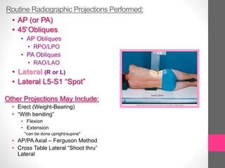 Final Image Evaluation: Left Lateral Lumbar Spine | PPTX