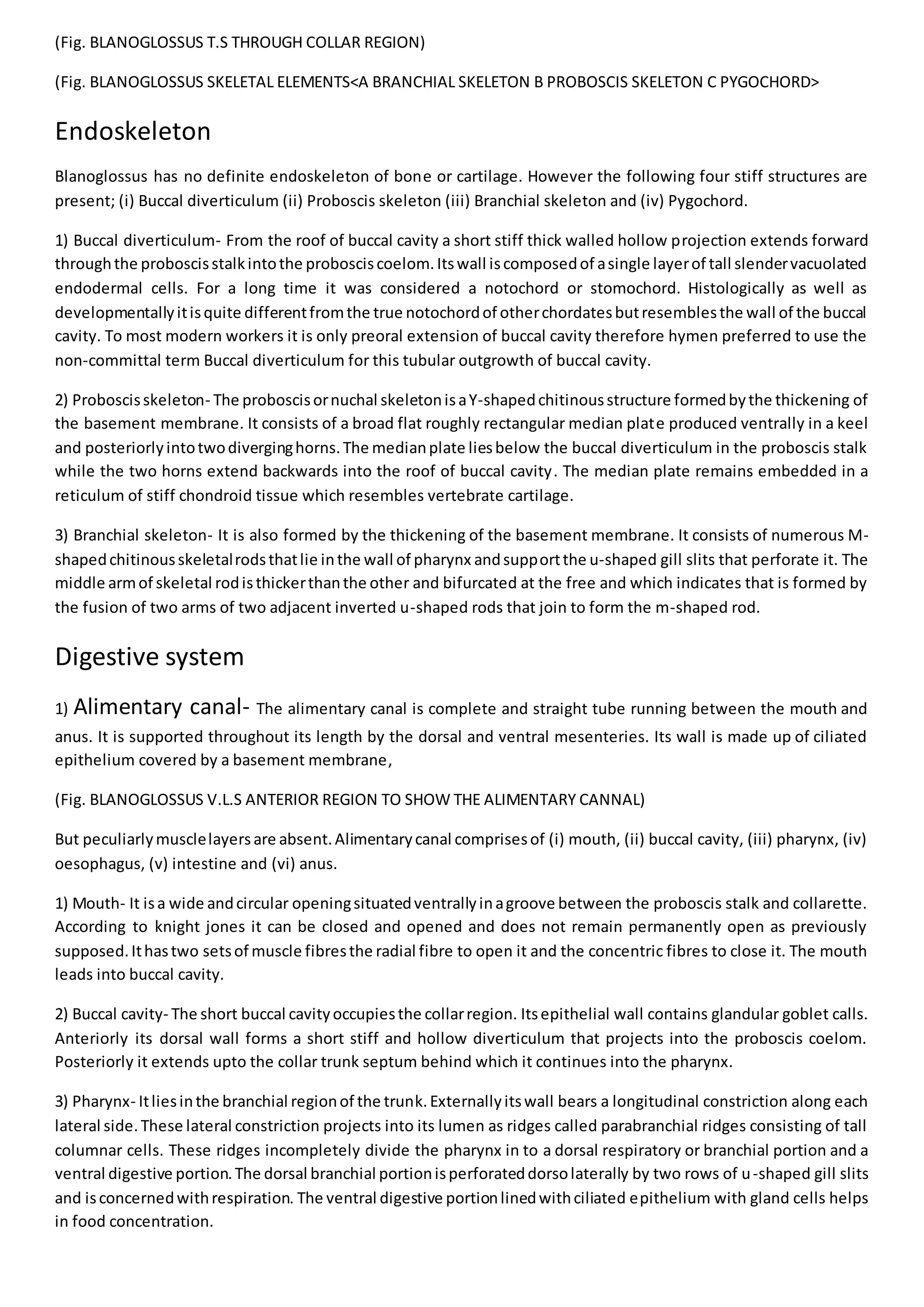 Blanoglossus (b.sc. ii)zoology | DOCX