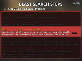 BLAST [Basic Alignment Local Search Tool] | PPTX