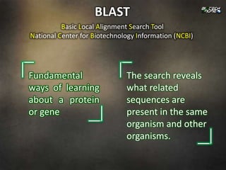 BLAST [Basic Alignment Local Search Tool] | PPTX