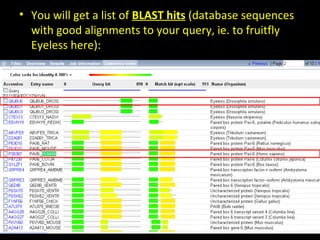 BLAST | PPT