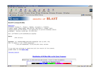 Blast bioinformatics | PDF
