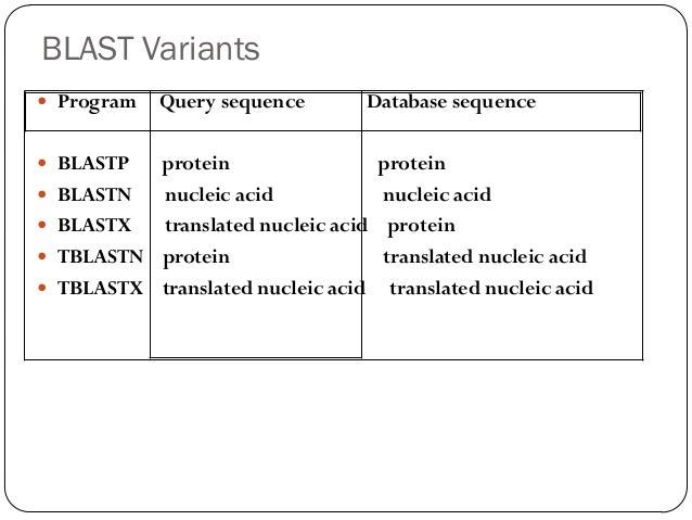 Blast Bioinformatics