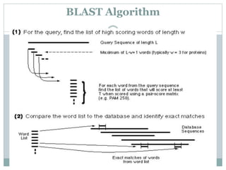 Blast | PPT