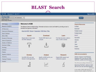 Blast | PPTX