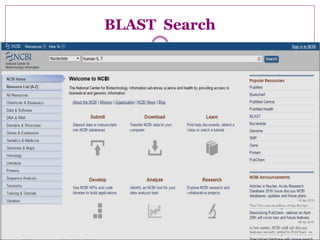 Blast | PPTX