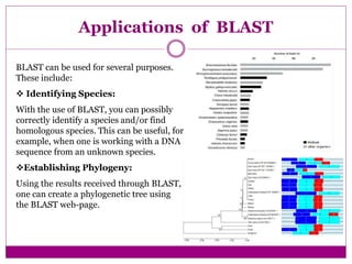 Blast | PPTX