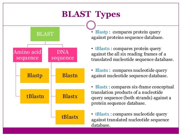 Blast