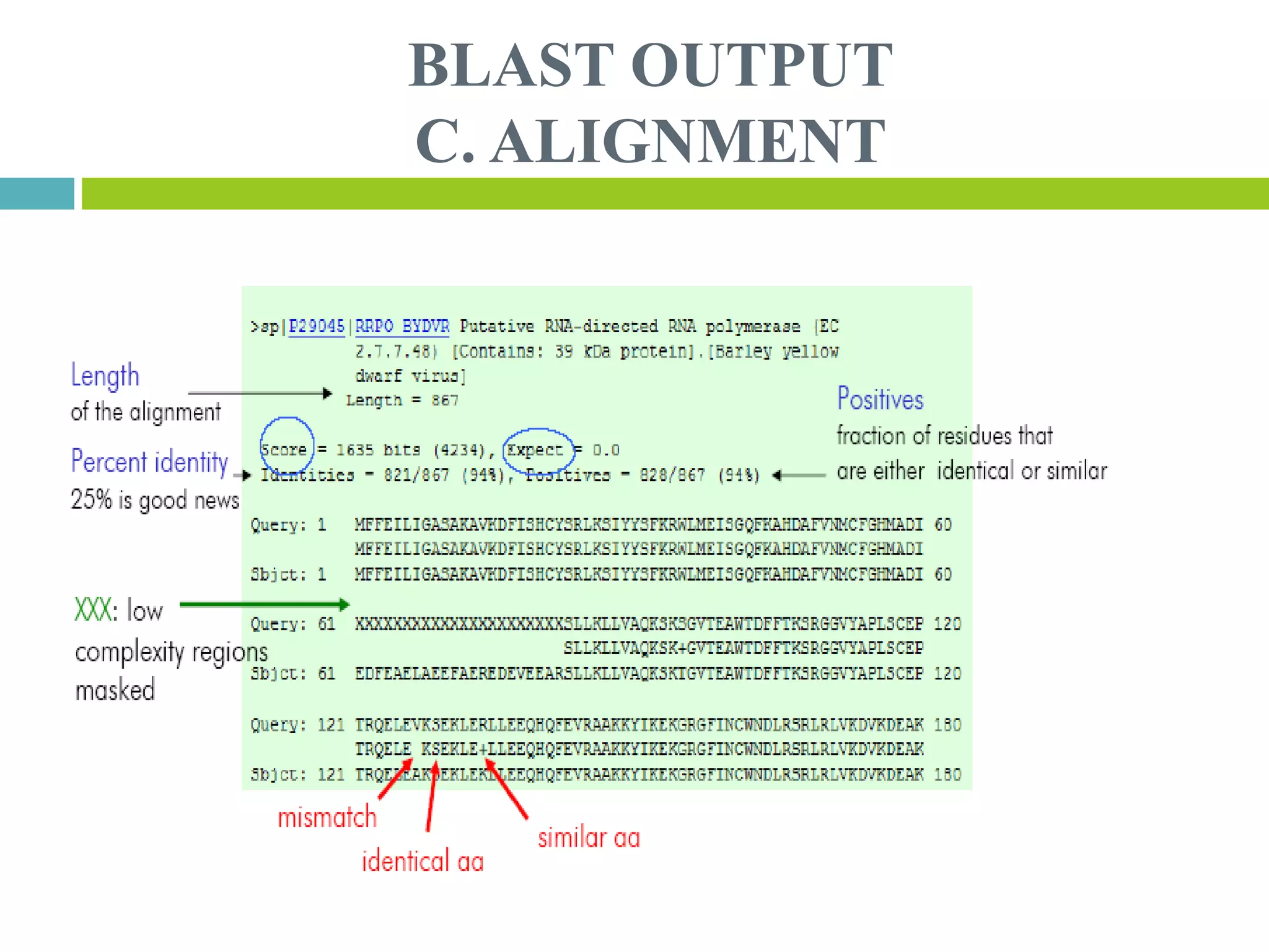BLAST | PPTX | Operating Systems | Computer Software and Applications