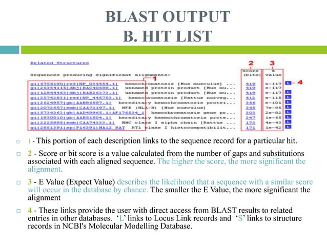 BLAST | PPTX | Operating Systems | Computer Software and Applications